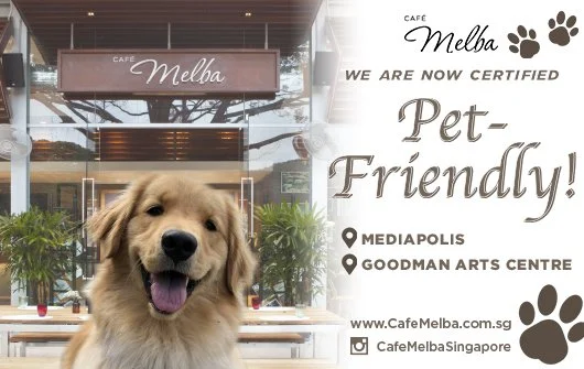 Can You Take Dogs Into Cafes