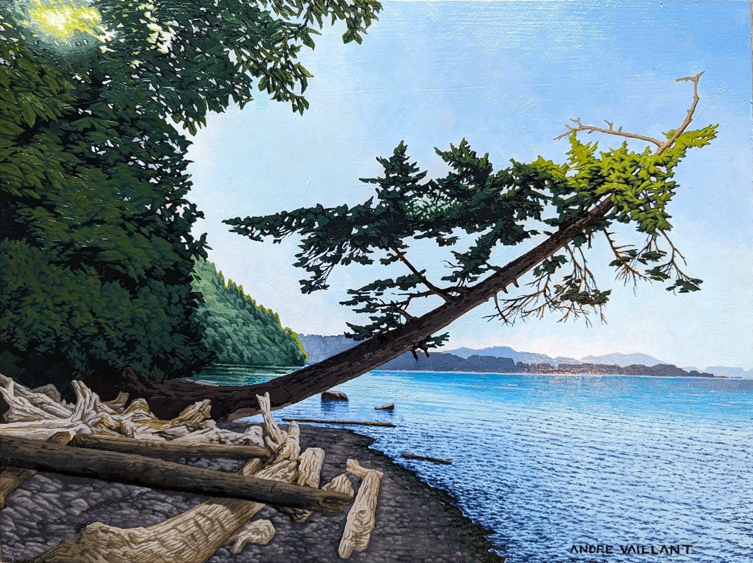 ANDRÉ VAILLANT | art