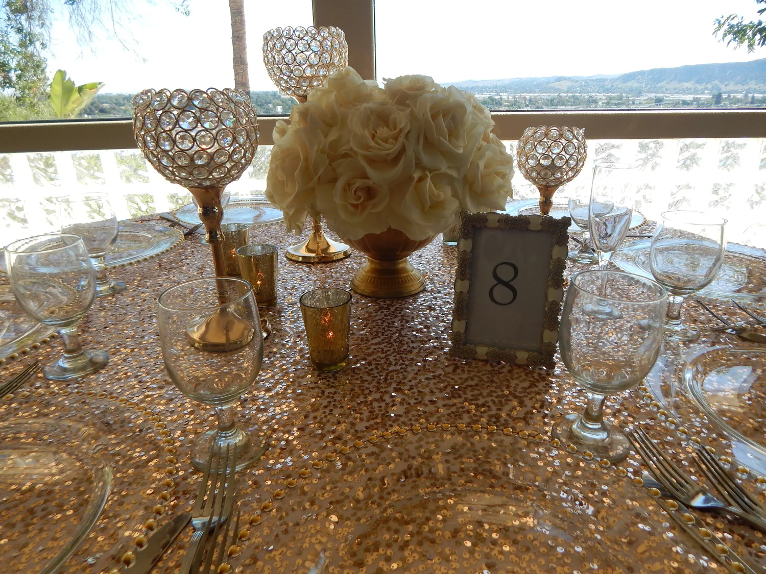 Coco Palms — Irises Designs