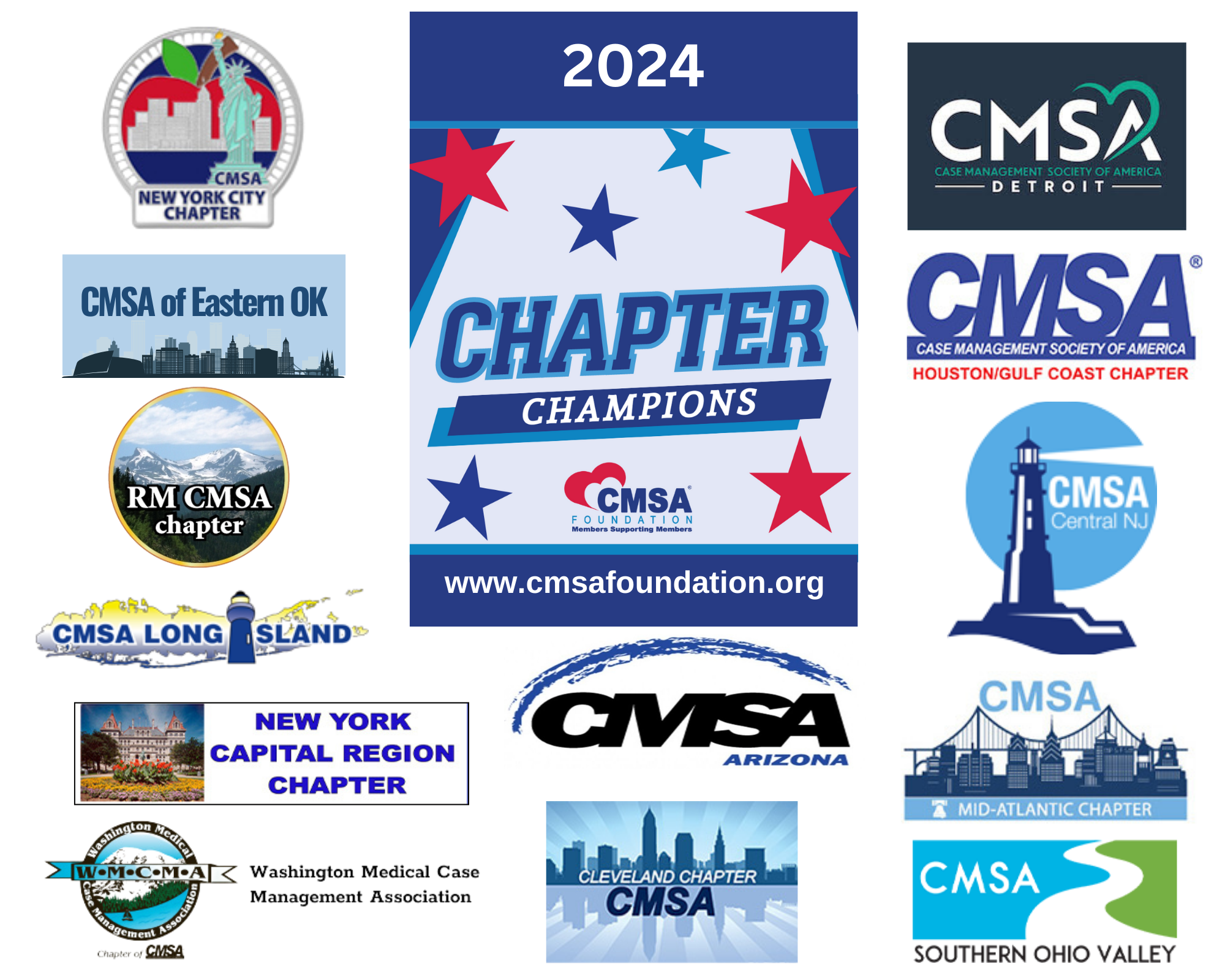 Chapter Champions — CMSA Foundation