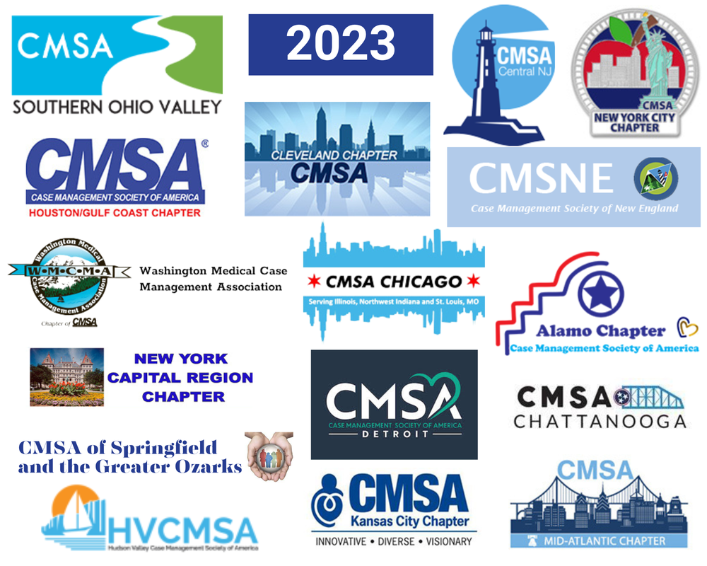 Chapter Highlights — CMSA Foundation