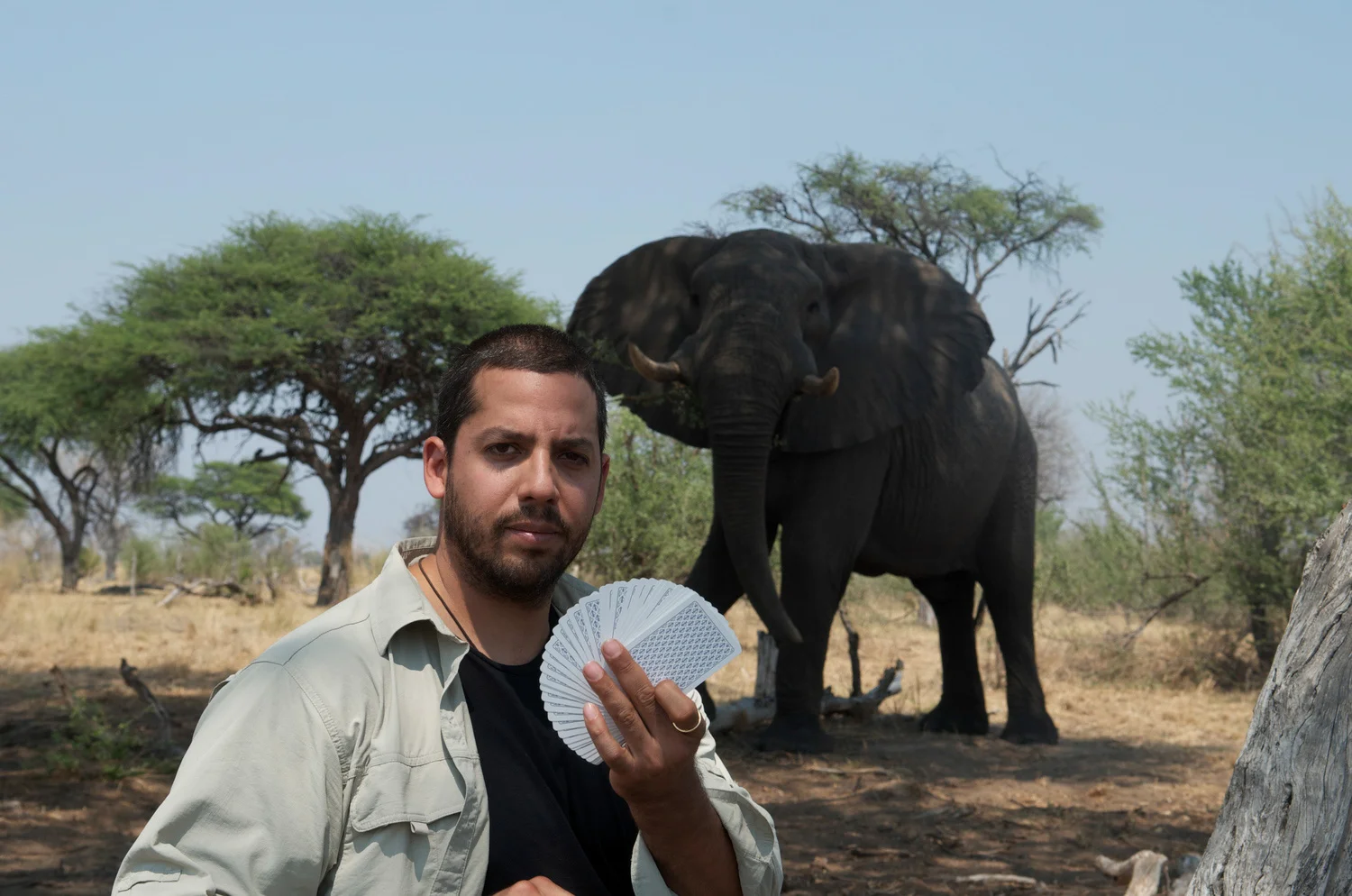 BIO — David Blaine | Official site