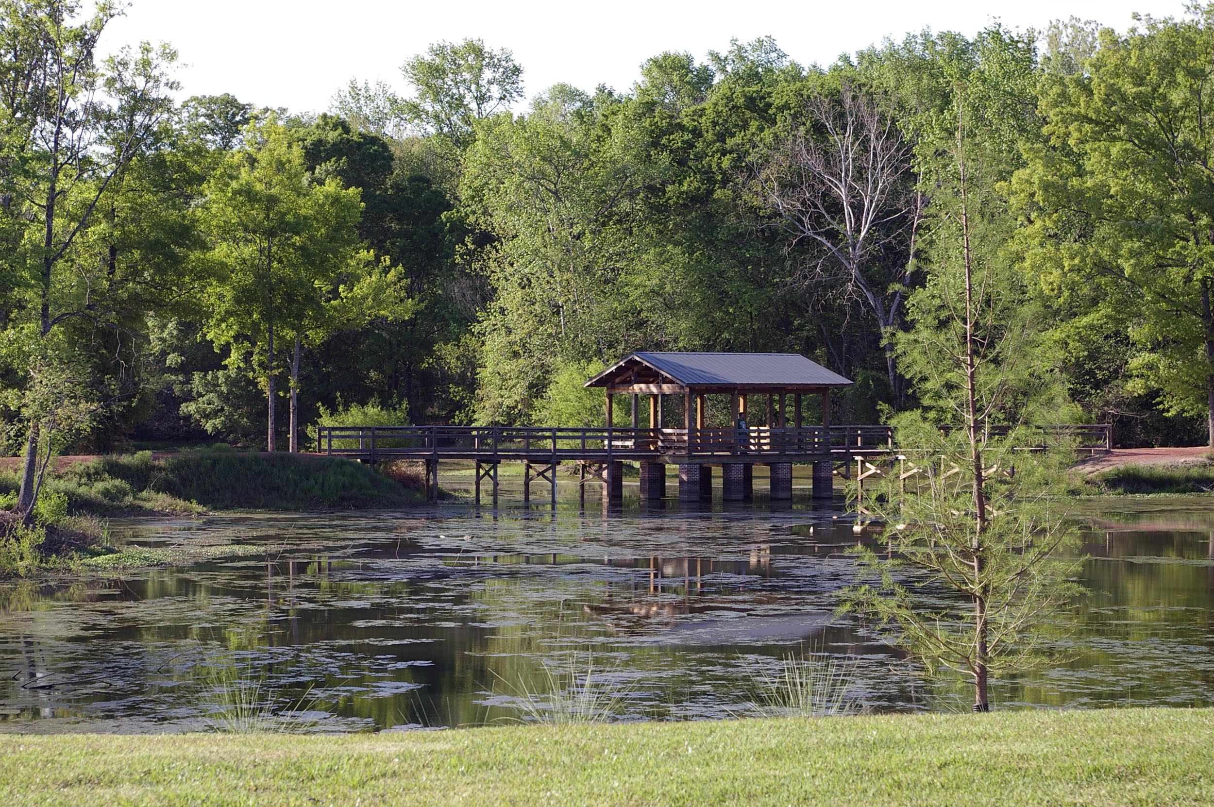 Hammond's Ferry — Dover, Kohl & Partners