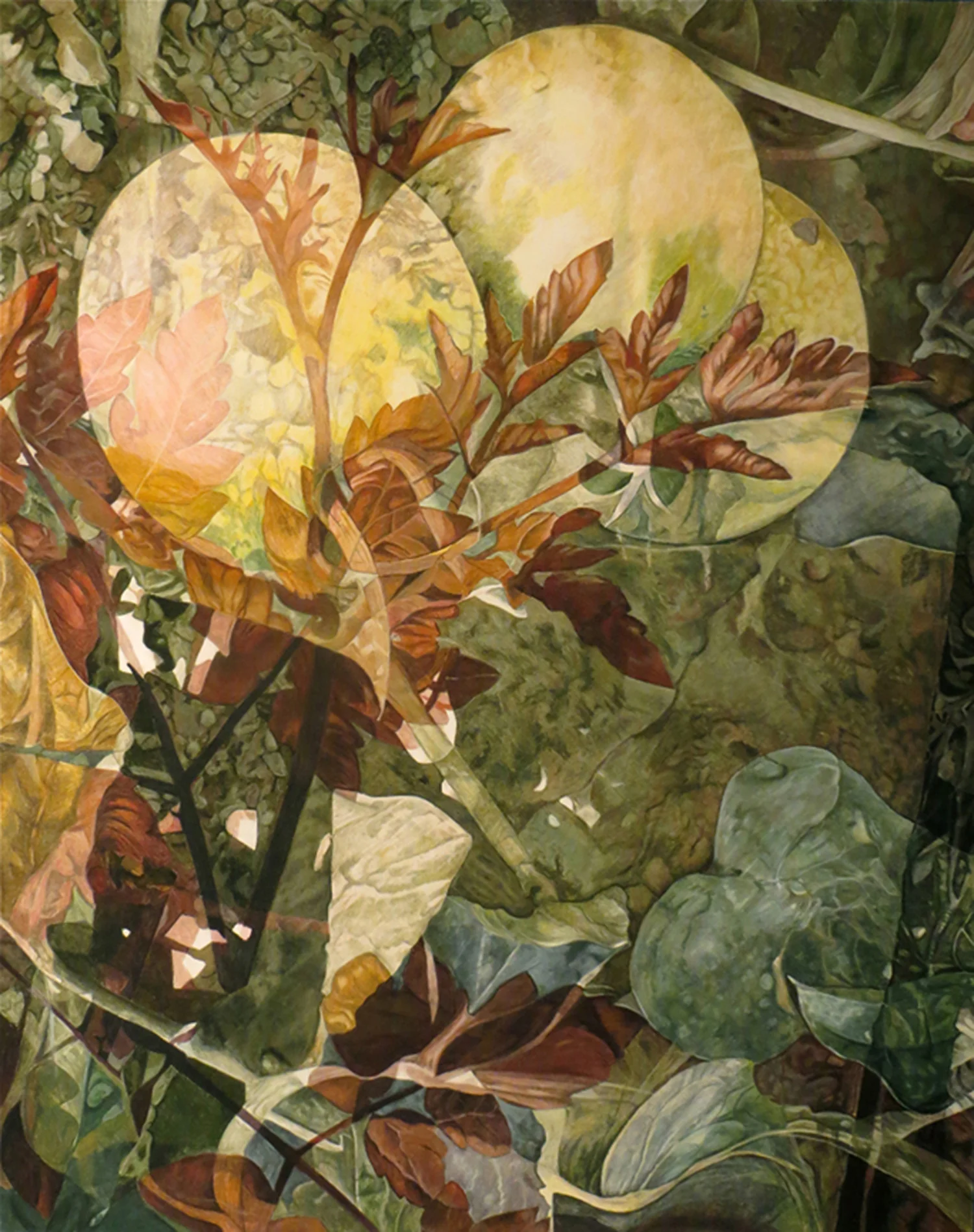 Anne O'Hara Artist