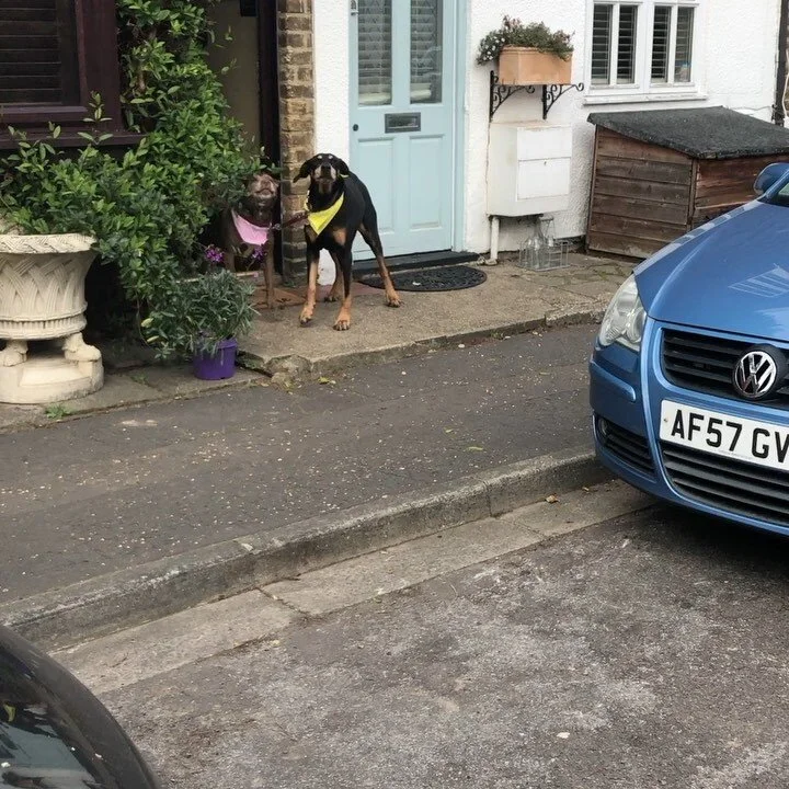 Never The Bride - Official Website