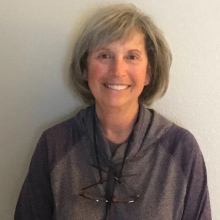 The Stoplight Approach - Cherilyn Orr