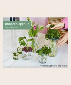 Rick Ross Rep Page — Keena