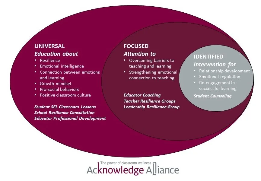 Continuum of Support — Acknowledge Alliance