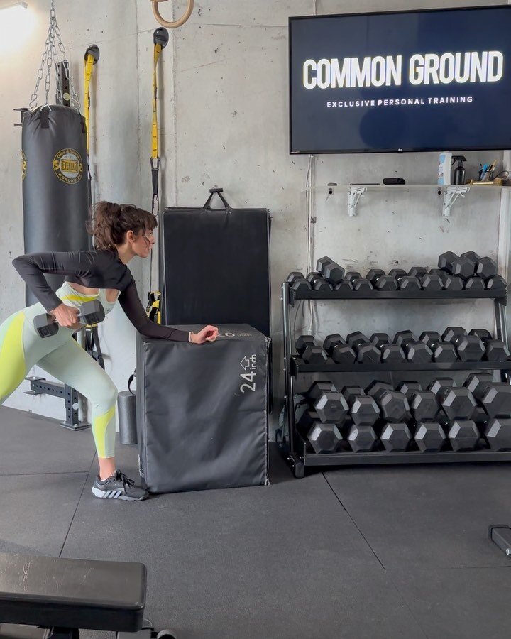 Exclusive Personal Training & Small Group Training