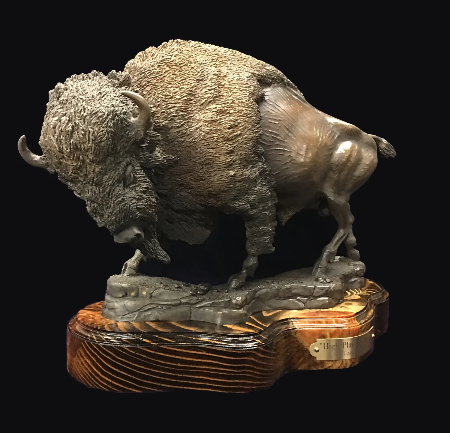 "High Plains Thunder" Todd Mueller — Hefestus Fine Arts