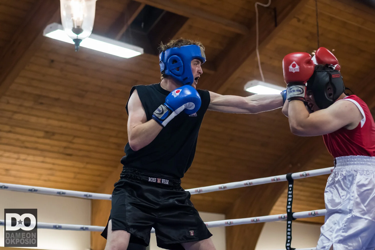 Fitness & Bodybuilding Photography | Ontario Boxing Hall of Fame Fights ...