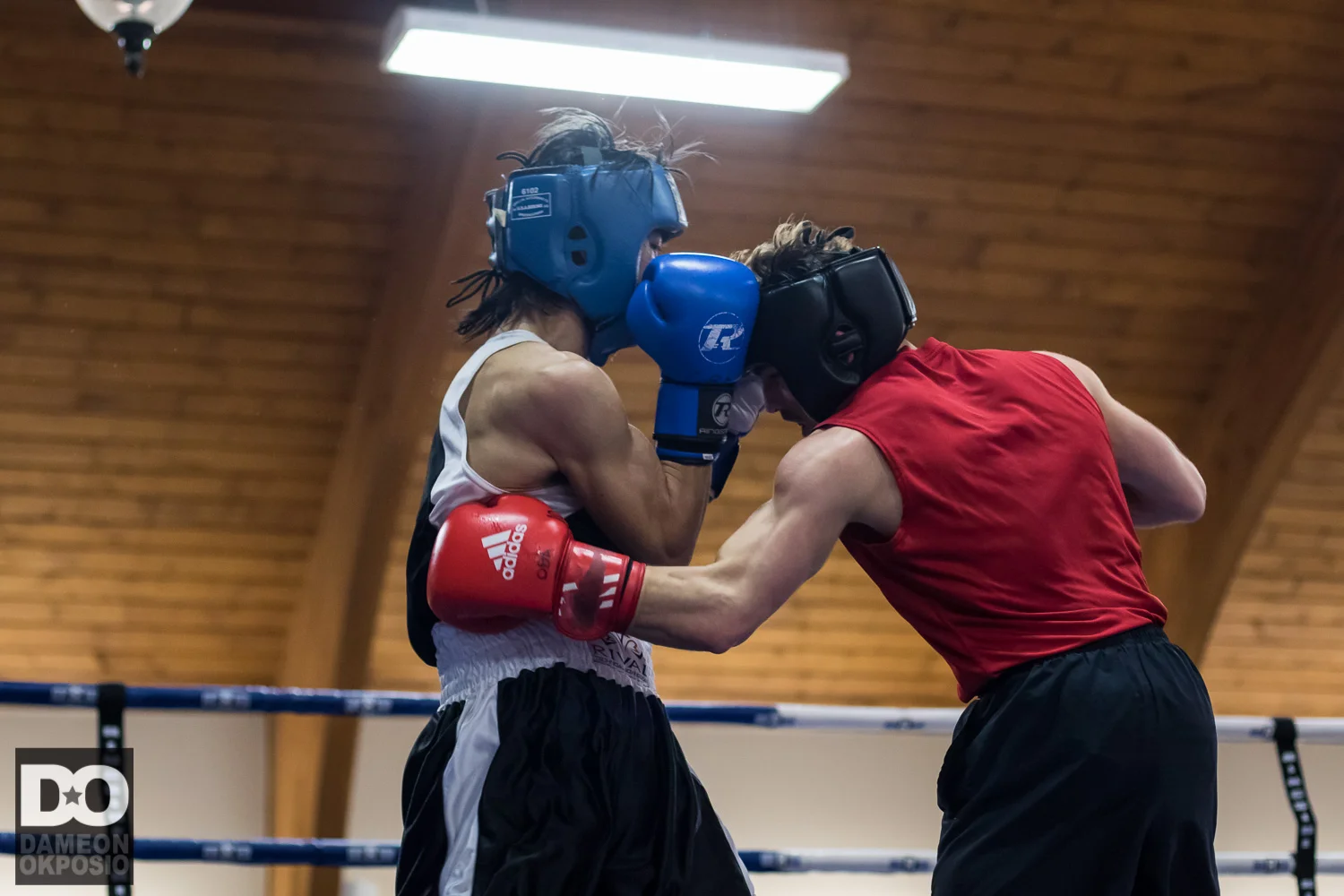 Fitness & Bodybuilding Photography | Ontario Boxing Hall of Fame Fights ...
