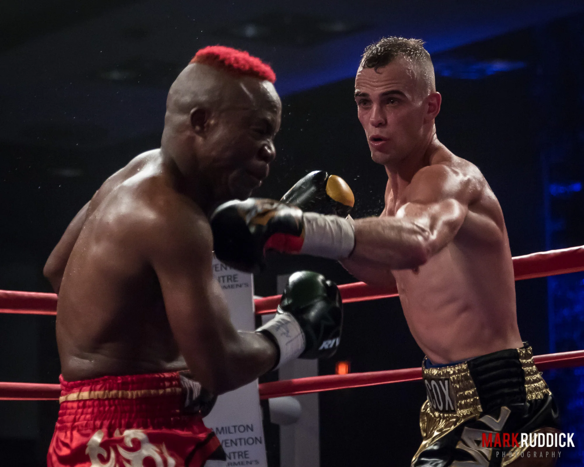 Fitness & Bodybuilding Photography | Steve Wilcox the new WBA - NABA ...