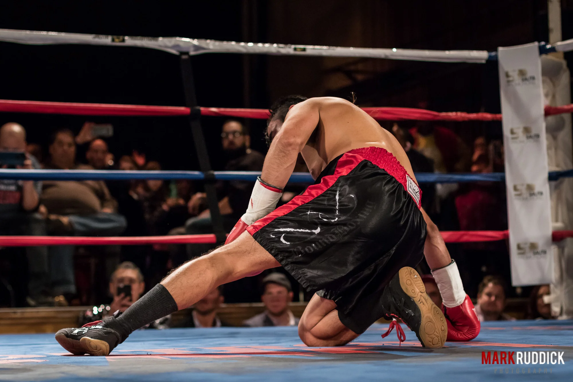 Fitness & Bodybuilding Photography | Detroit Brawl - Professional ...