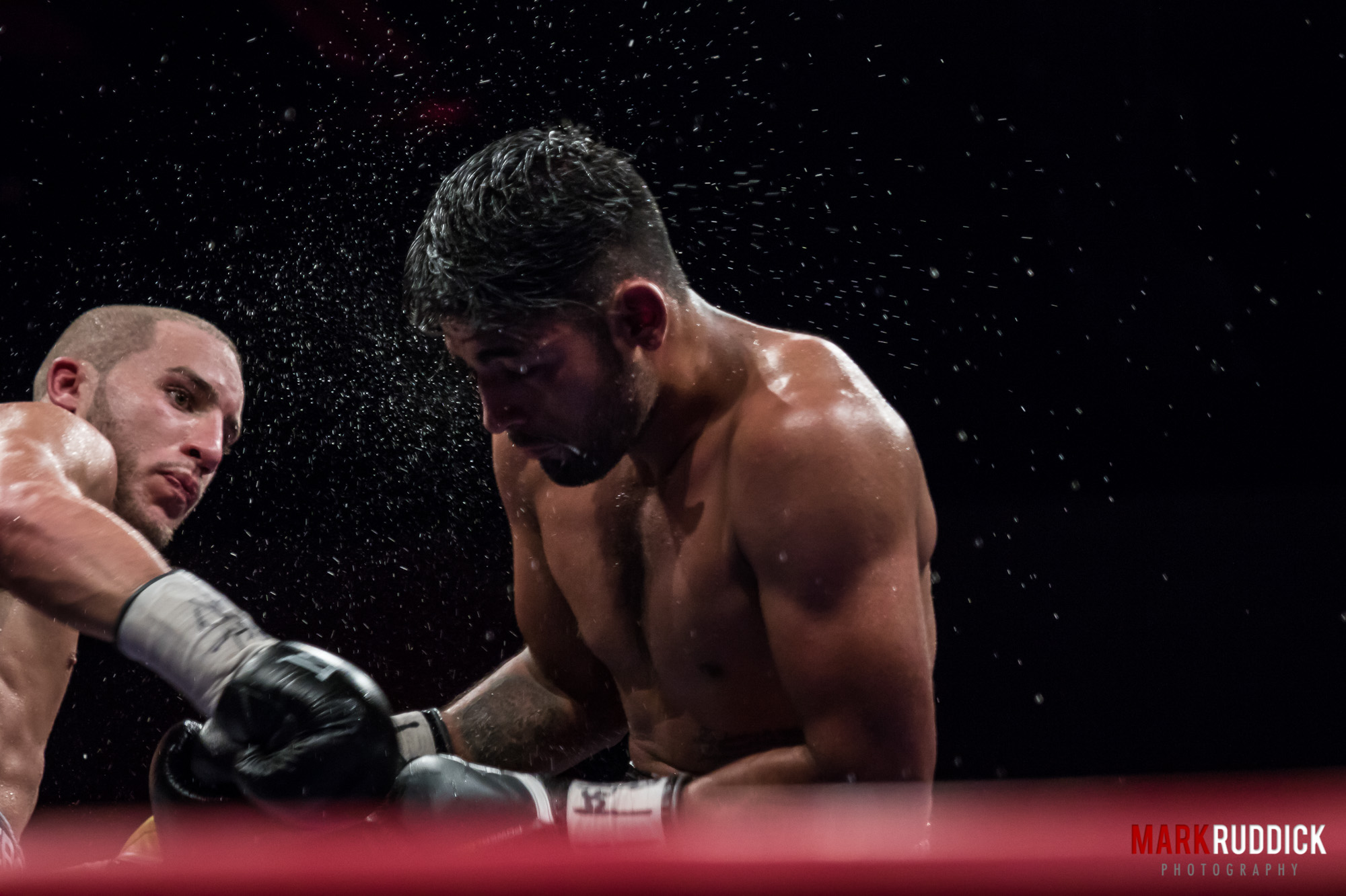 Fitness & Bodybuilding Photography | Global Legacy Boxing - Fight for ...