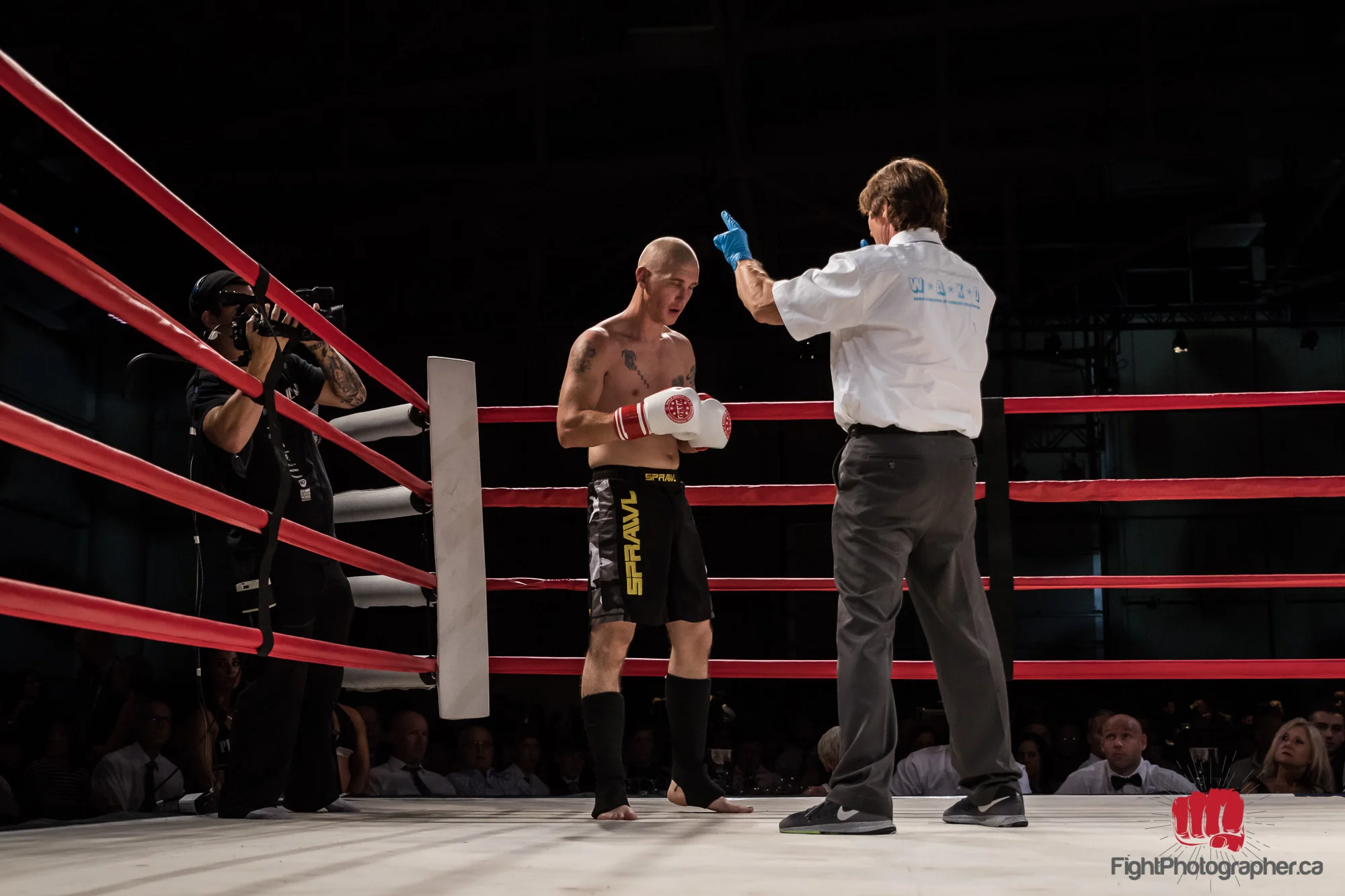 Fitness & Bodybuilding Photography | Knock out Kidney Disease — Mark ...