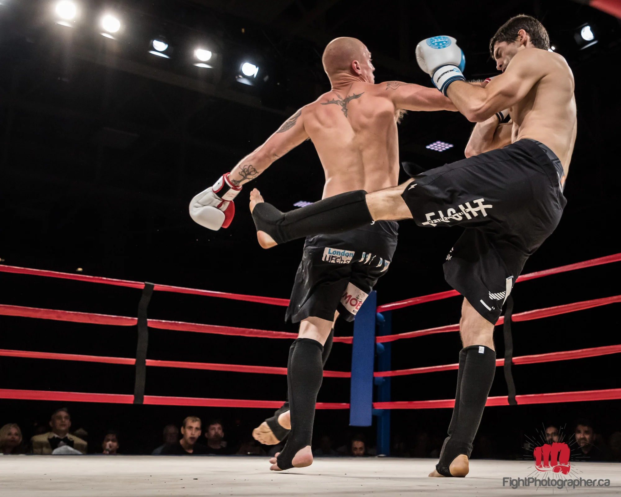 Fitness & Bodybuilding Photography | Knock out Kidney Disease — Mark ...