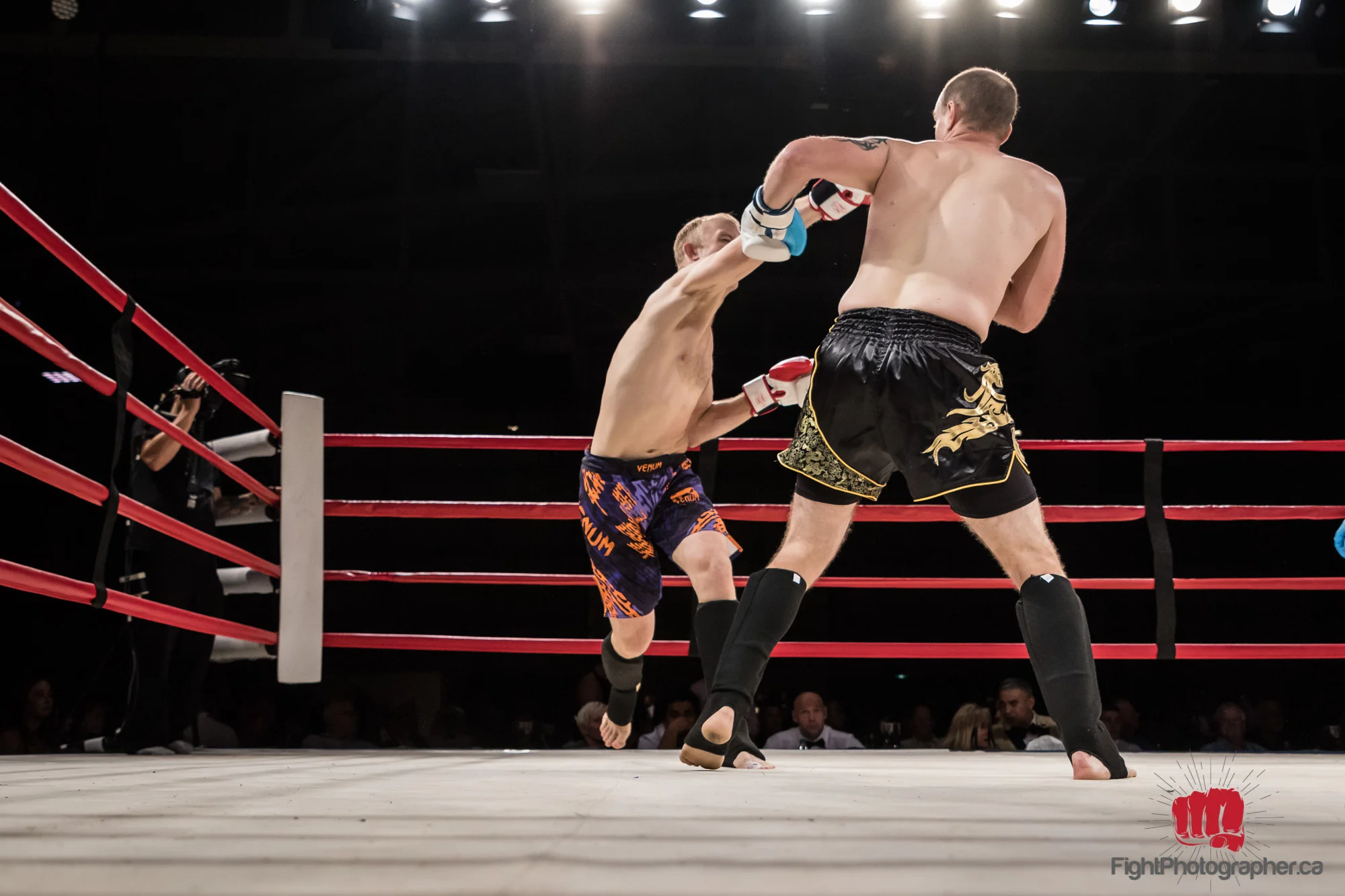 Fitness & Bodybuilding Photography | Knock out Kidney Disease — Mark ...