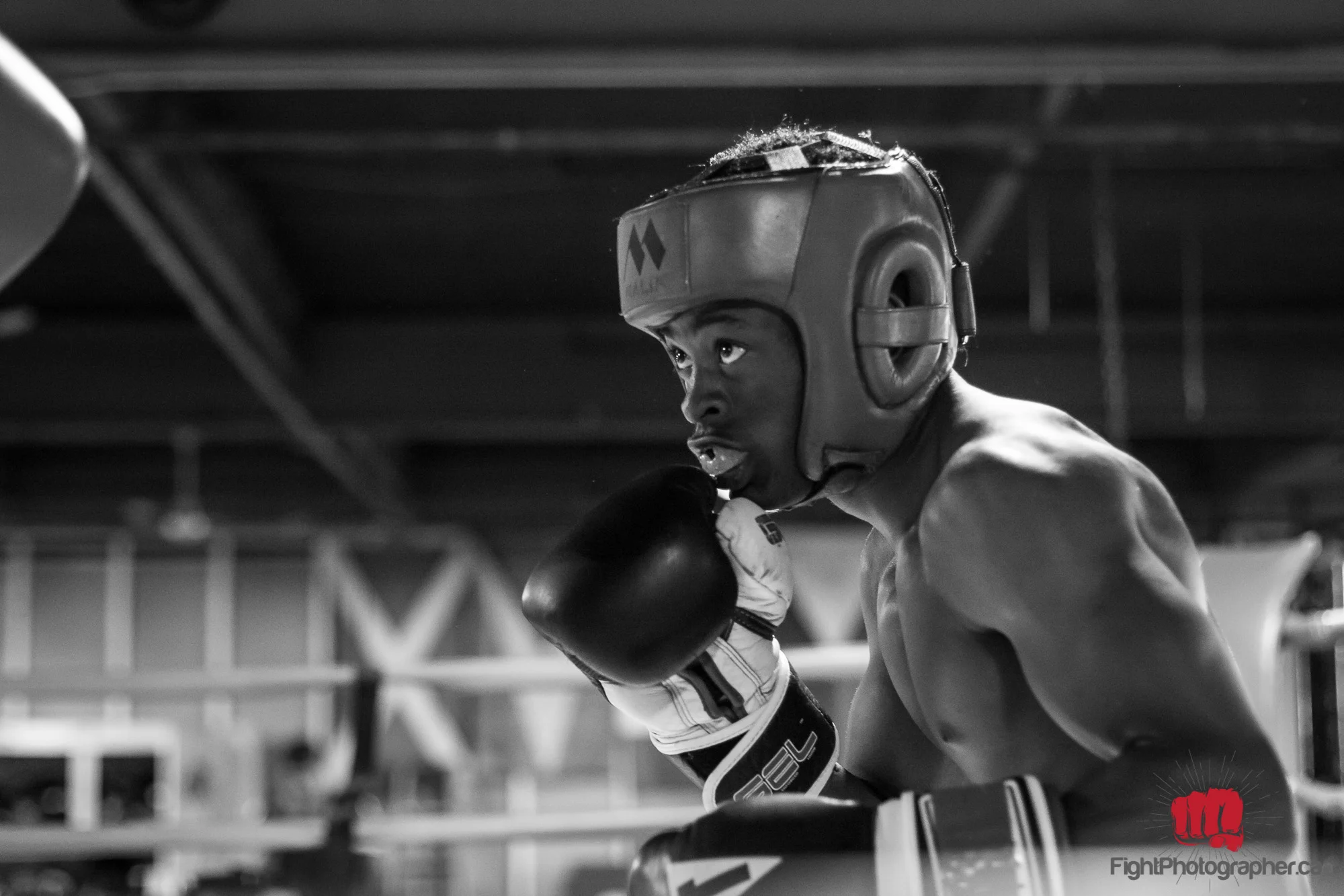 Fitness & Bodybuilding Photography | Sparring at Warriors' Boxing and ...