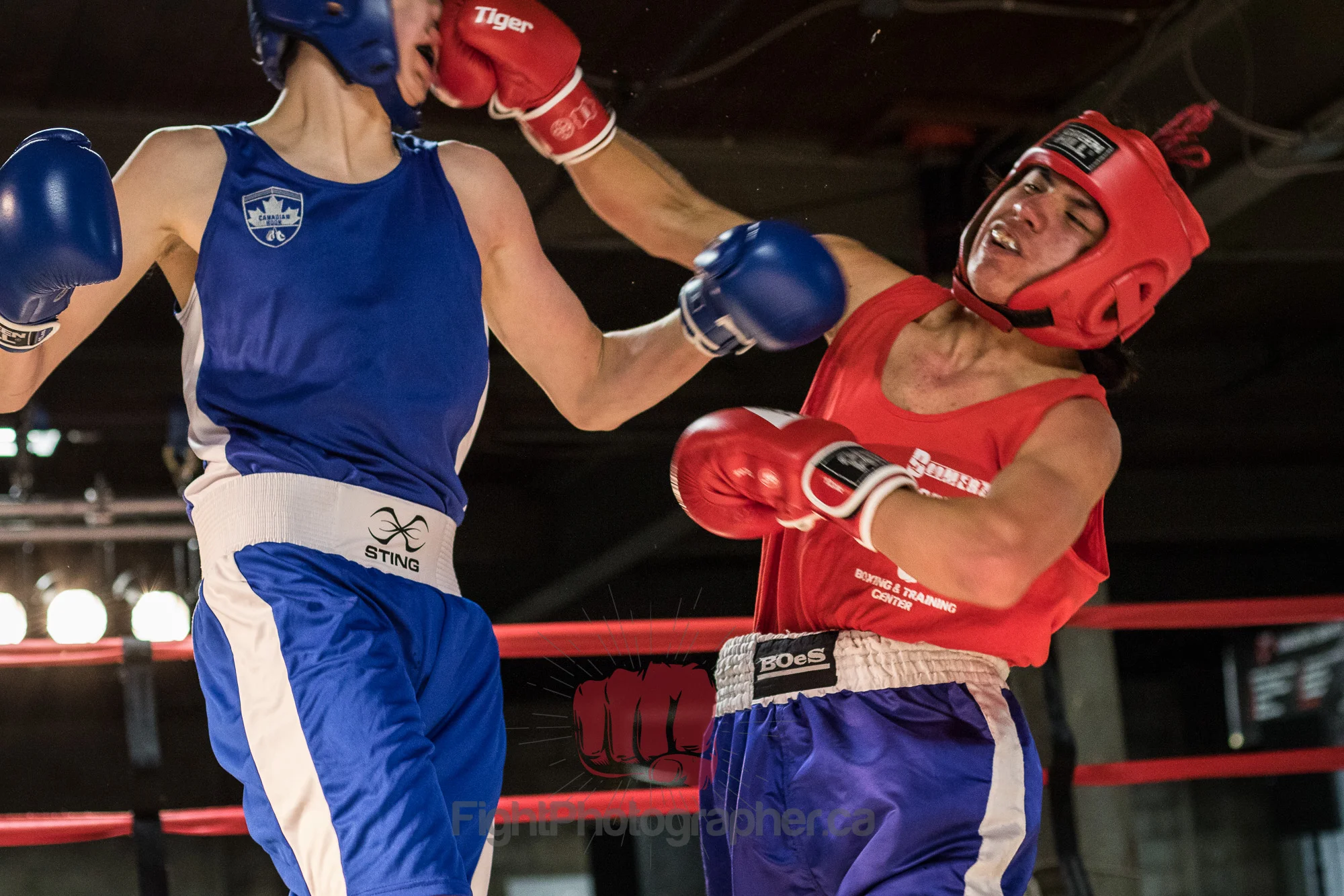 Fitness & Bodybuilding Photography | Amatuer Boxing at Warriors — Mark ...