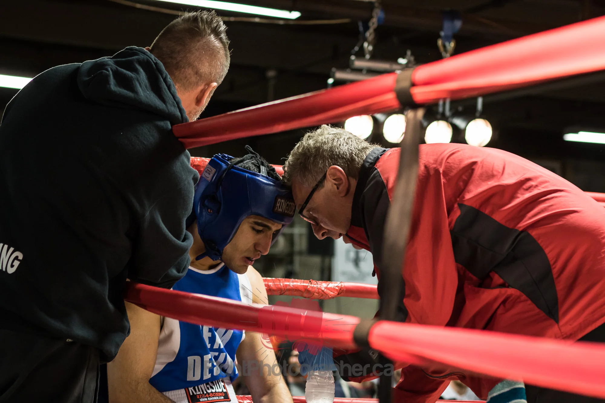 Fitness & Bodybuilding Photography | Amatuer Boxing at Warriors — Mark ...