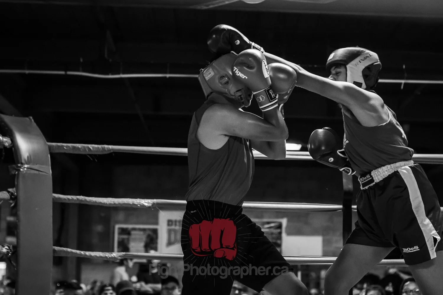 Fitness & Bodybuilding Photography | Boxing Show at Warriors Boxing and ...