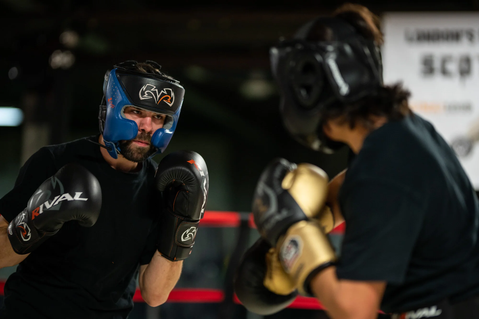 Fitness & Bodybuilding Photography | Sparring at Warriors — Mark ...