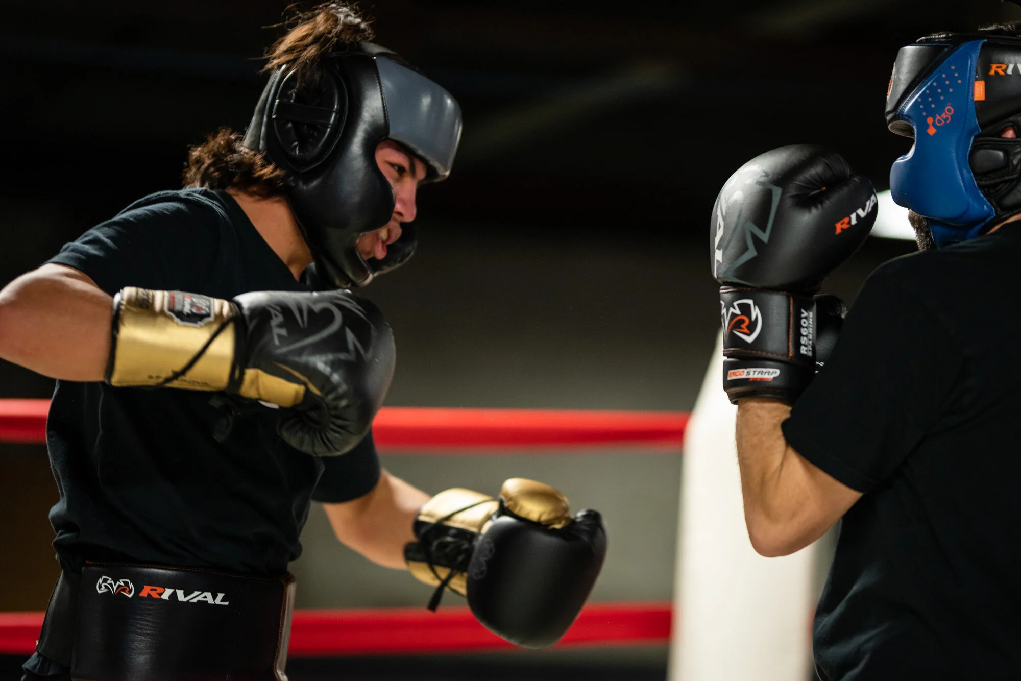 Fitness & Bodybuilding Photography | Sparring at Warriors — Mark ...
