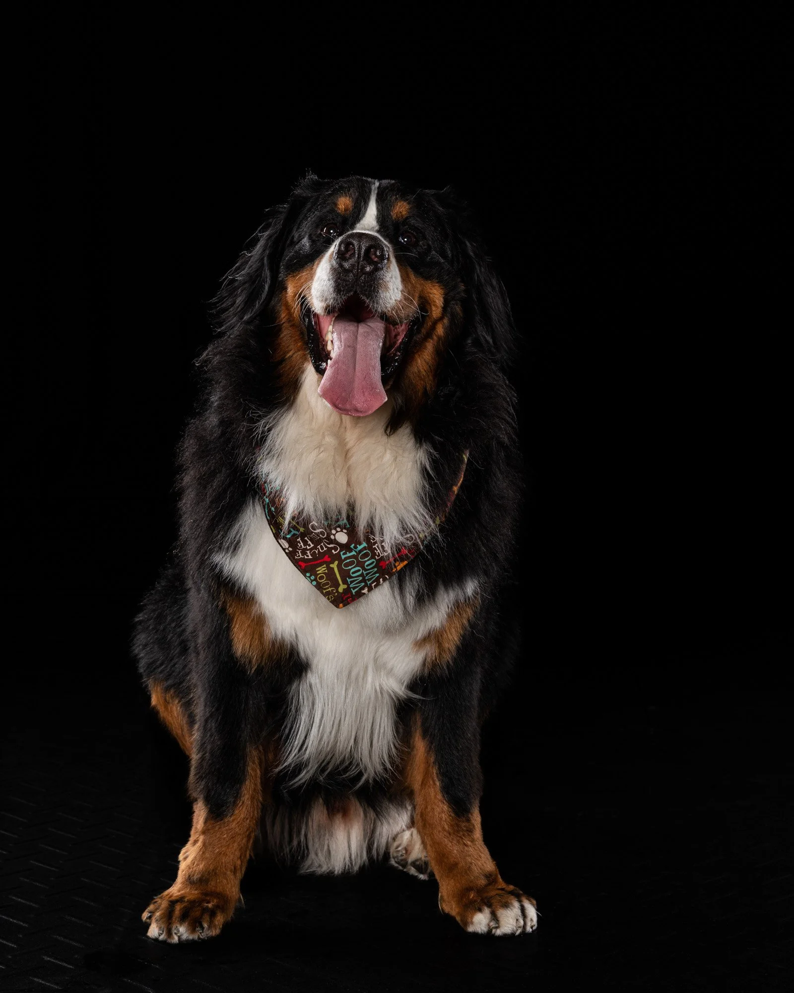 Fitness & Bodybuilding Photography | Dog Day at the Studio — Mark ...
