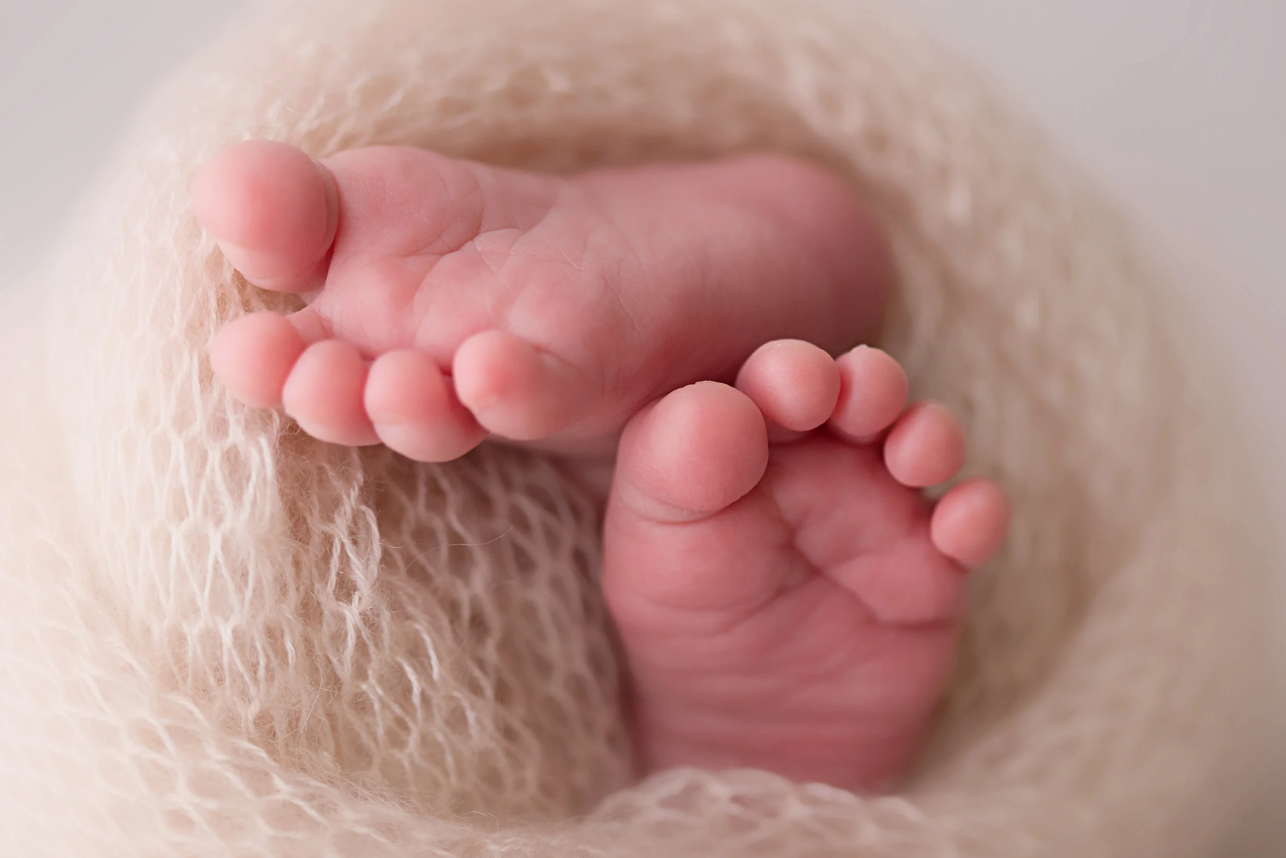 Baby Andre- First Newborn of the New Year — Newborn Baby Photography ...