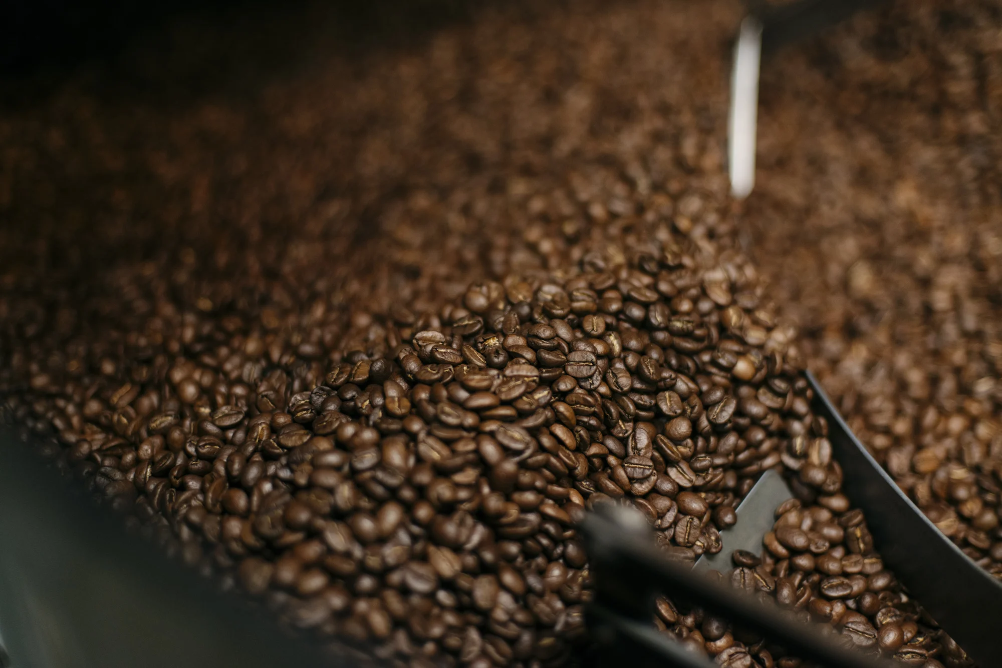 House of Coffee Beans