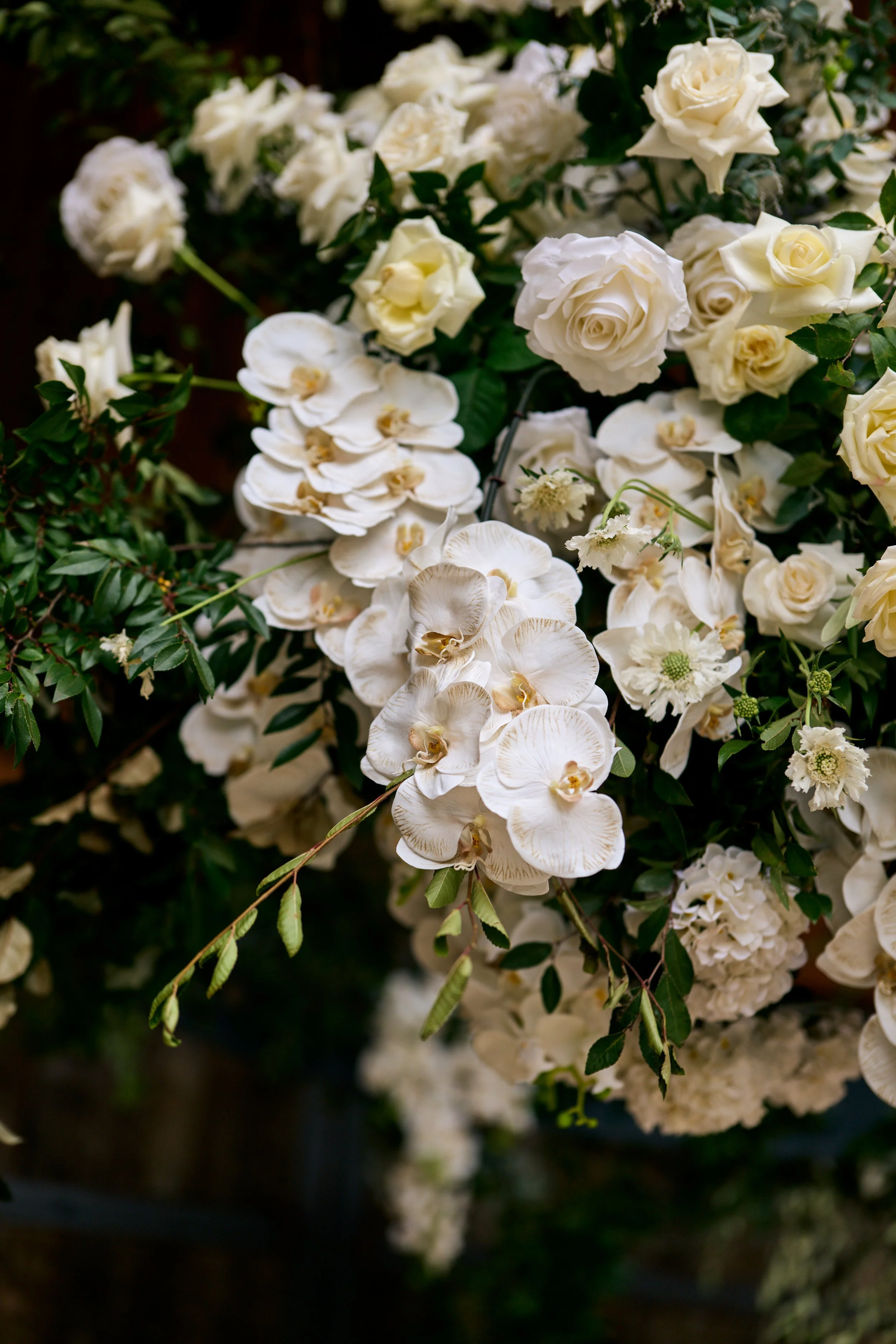 Flower Florist for Hills District, Dural, Kenthurst and Glenhaven