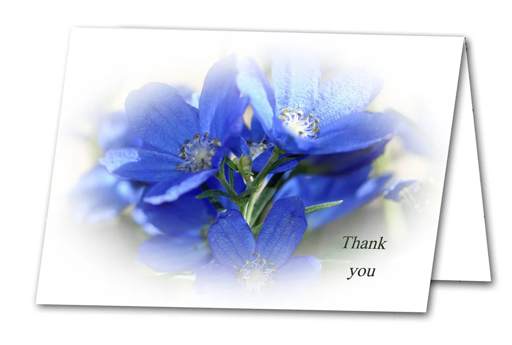 Thank You Images With Blue Flowers