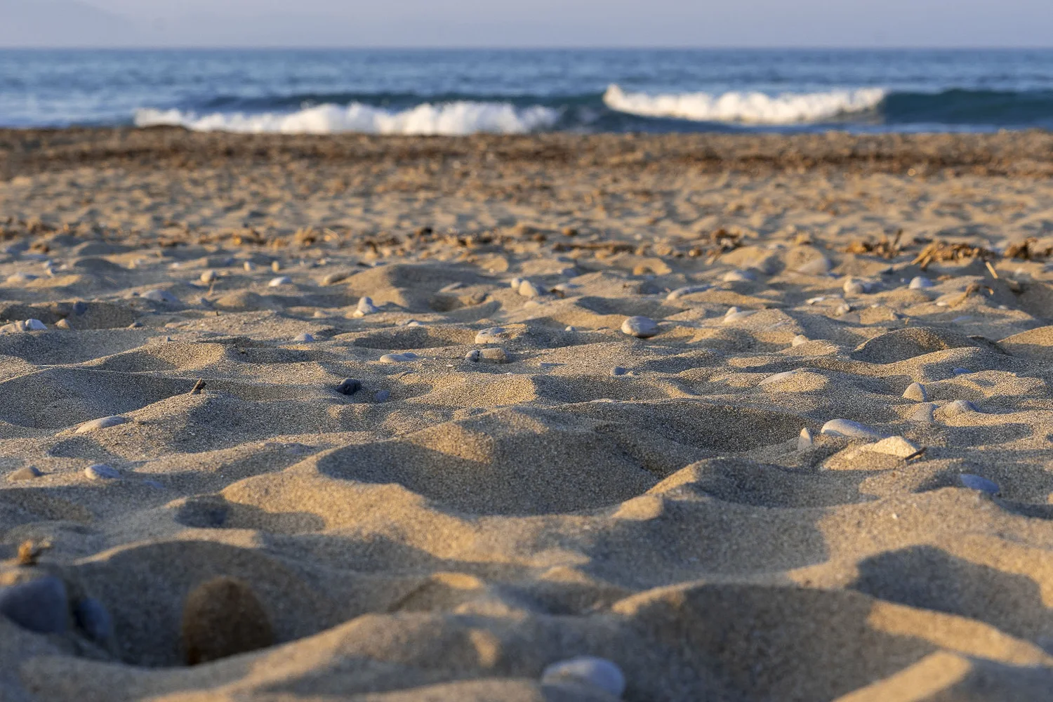 Chillen am Sa Canova Beach! — LIK Akademie