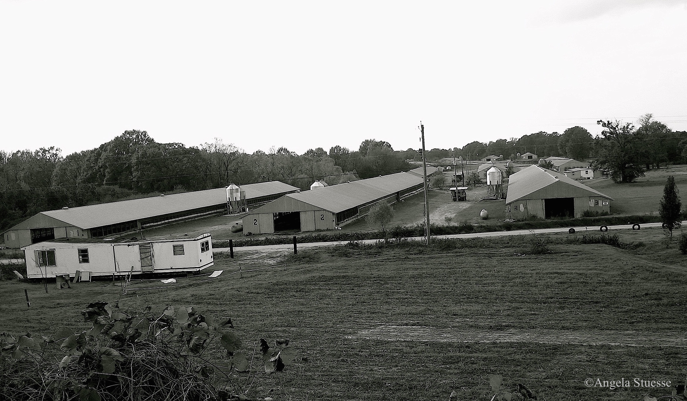Globalization of the U.S. South — Angela Stuesse