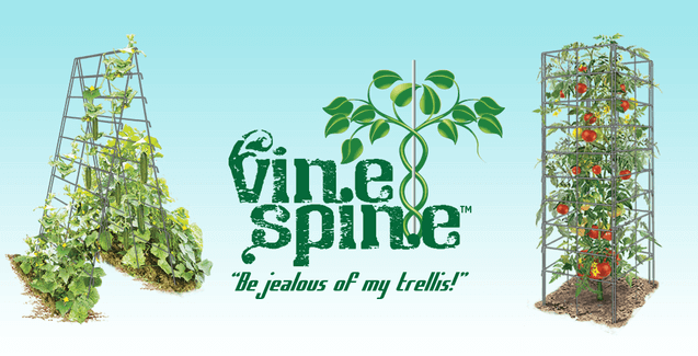 TOOLS Vine Spine Trellis — Mother Earth Gardens
