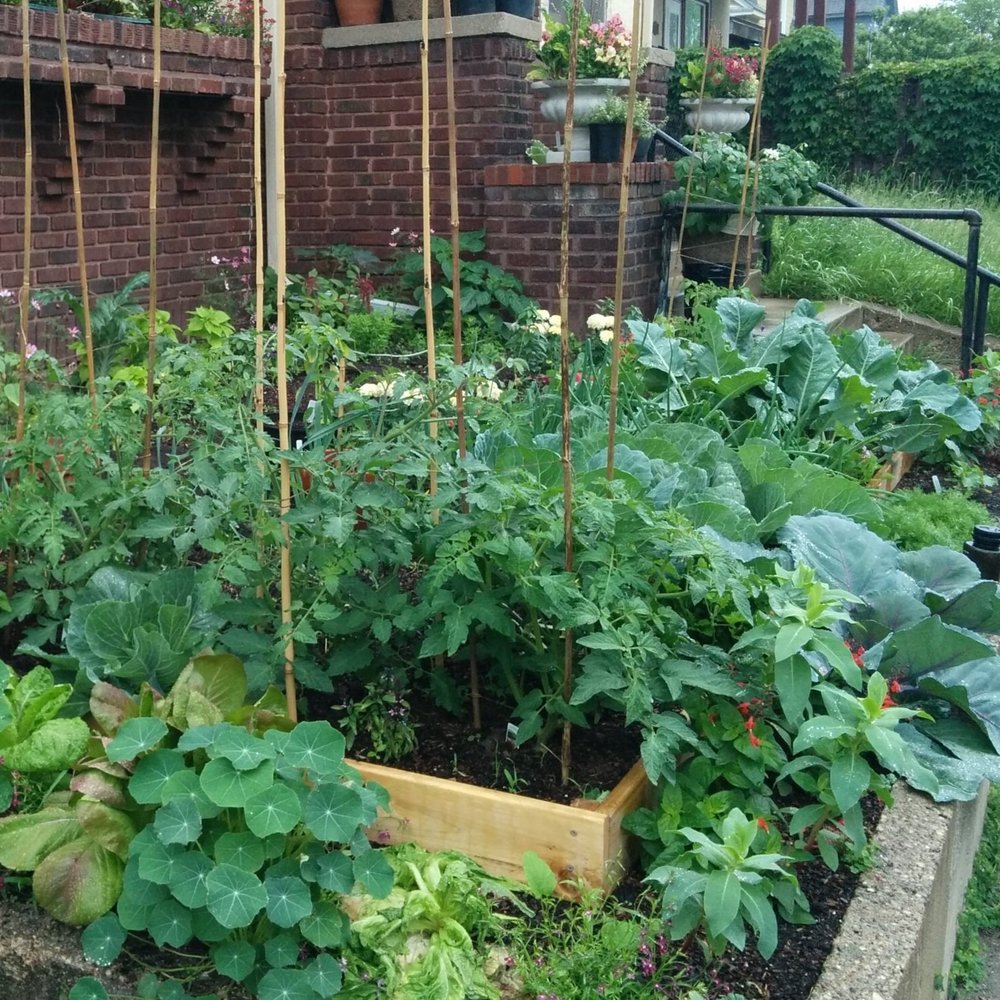 SERVICES | COACHING & PLANNING — Mother Earth Gardens