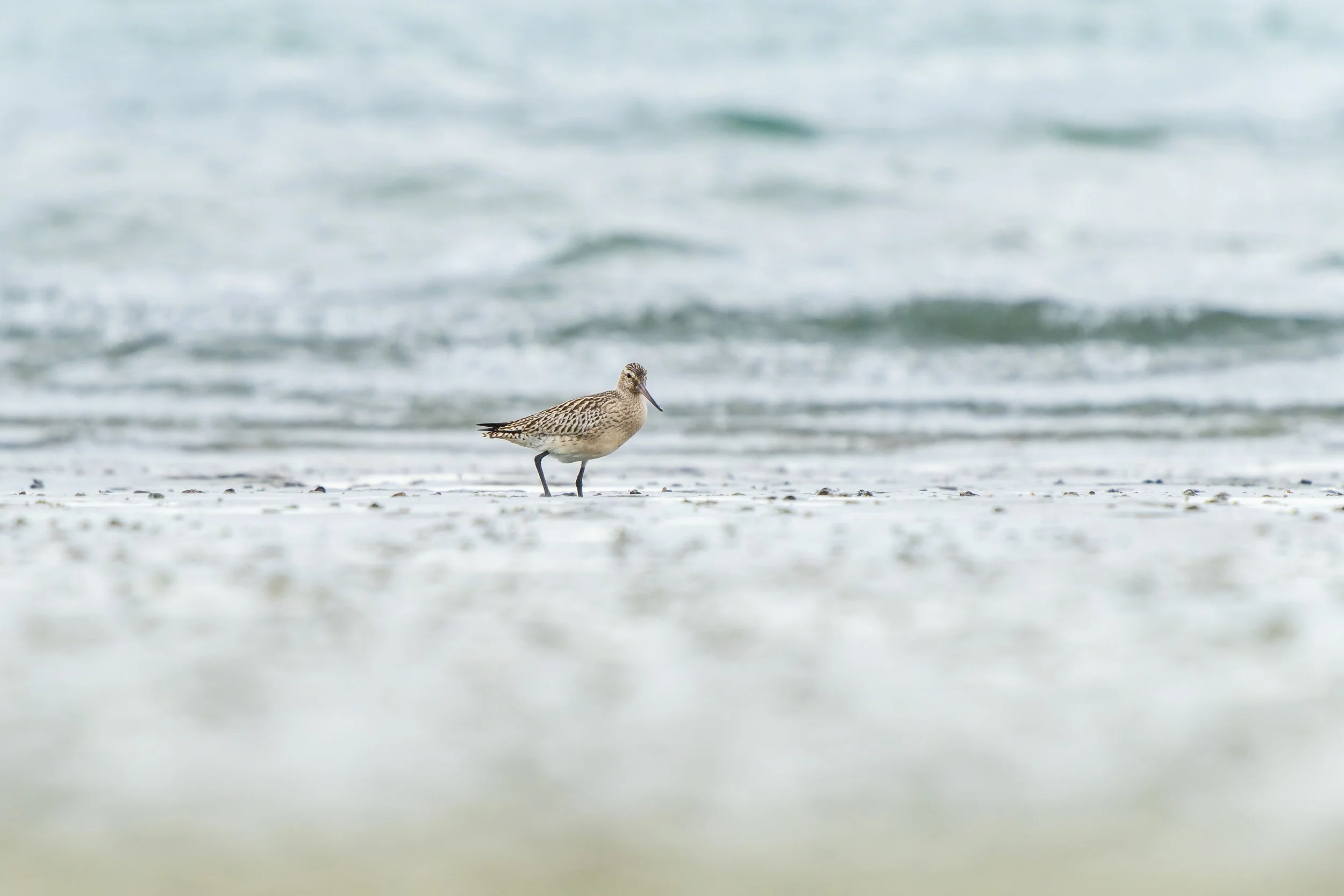 Short Zeeland visit with the family — ROBERT DOELEMAN