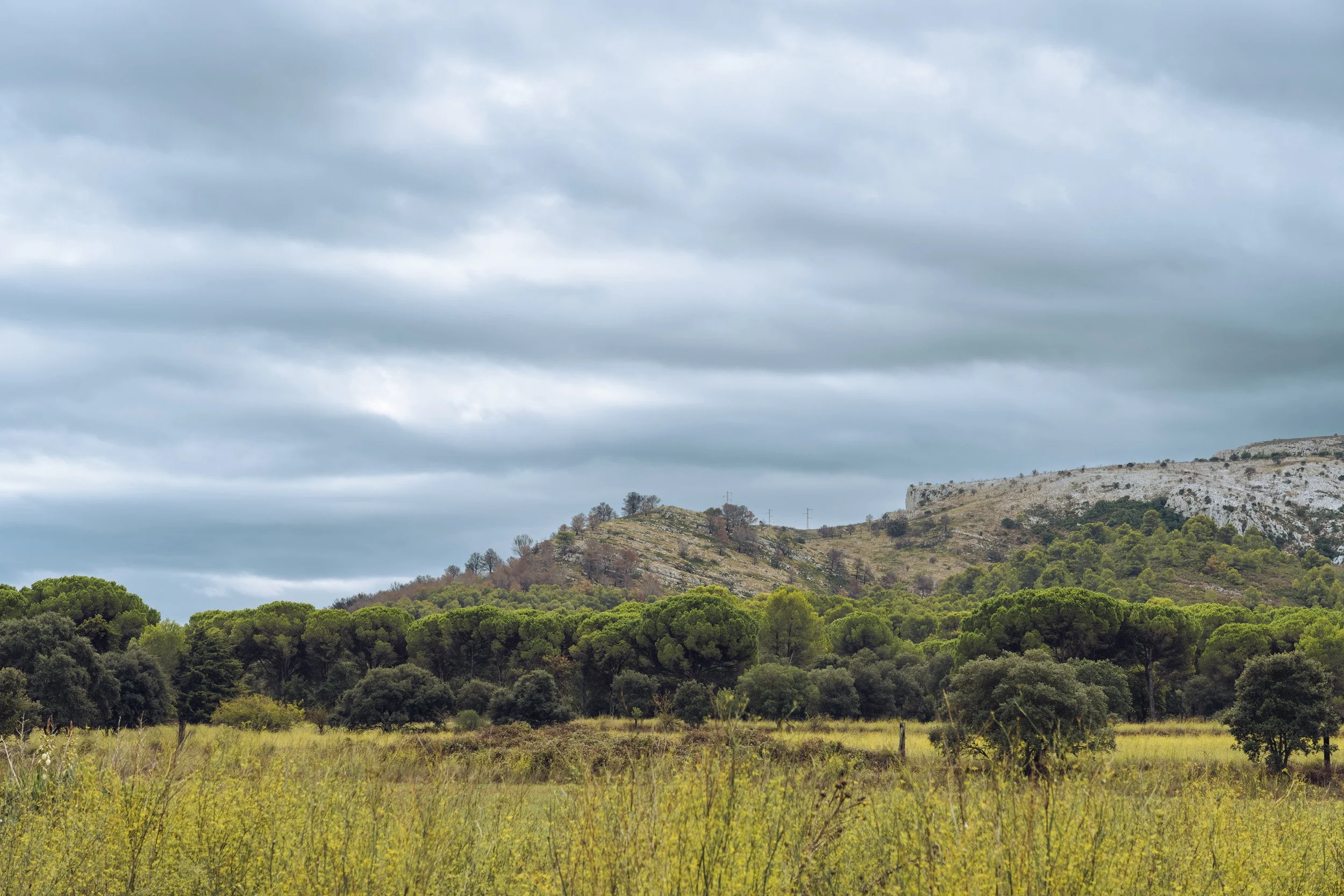 When in Girona go cycling and take photos with the Sony a1 and FUJIFILM ...