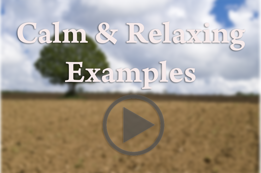 Sample Videos — Waiting Room Videos