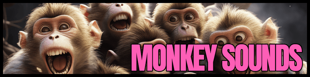 MONKEY SOUNDS