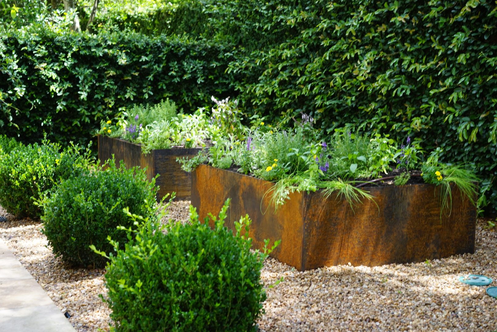 Steel — Rooted Garden