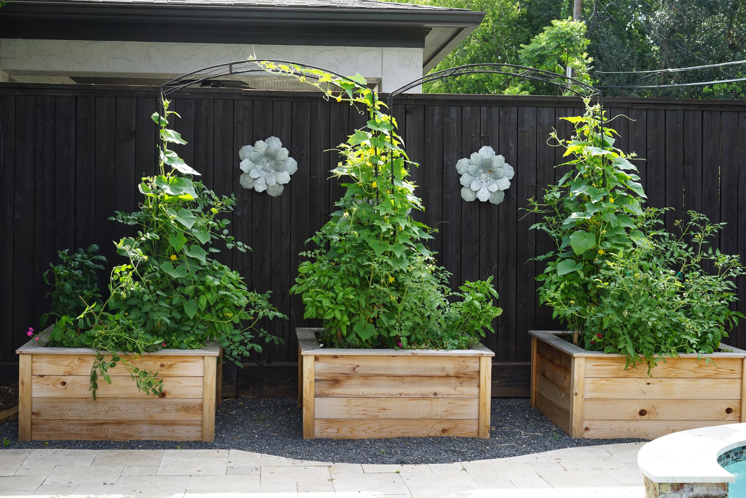 Natural — Rooted Garden