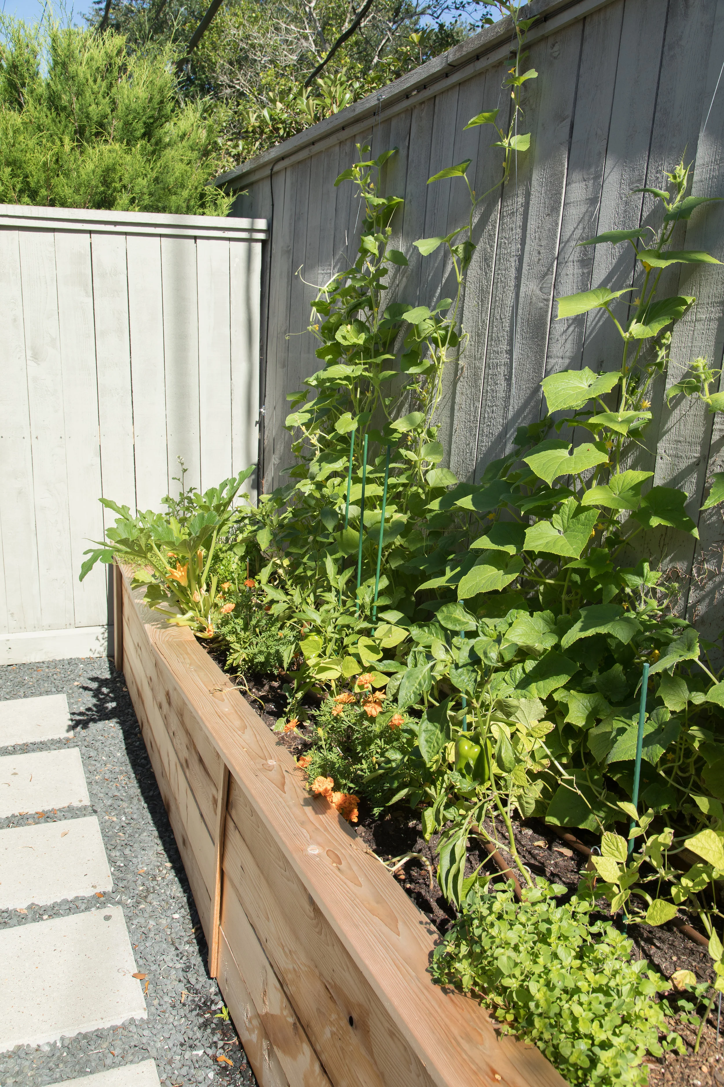 A Chef's Kitchen Garden — Rooted Garden