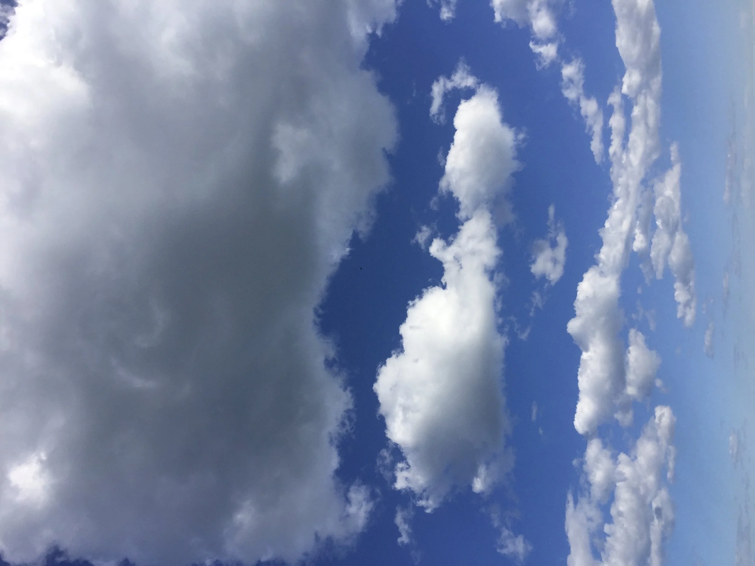 STEREO FIELD — LANDSCAPE