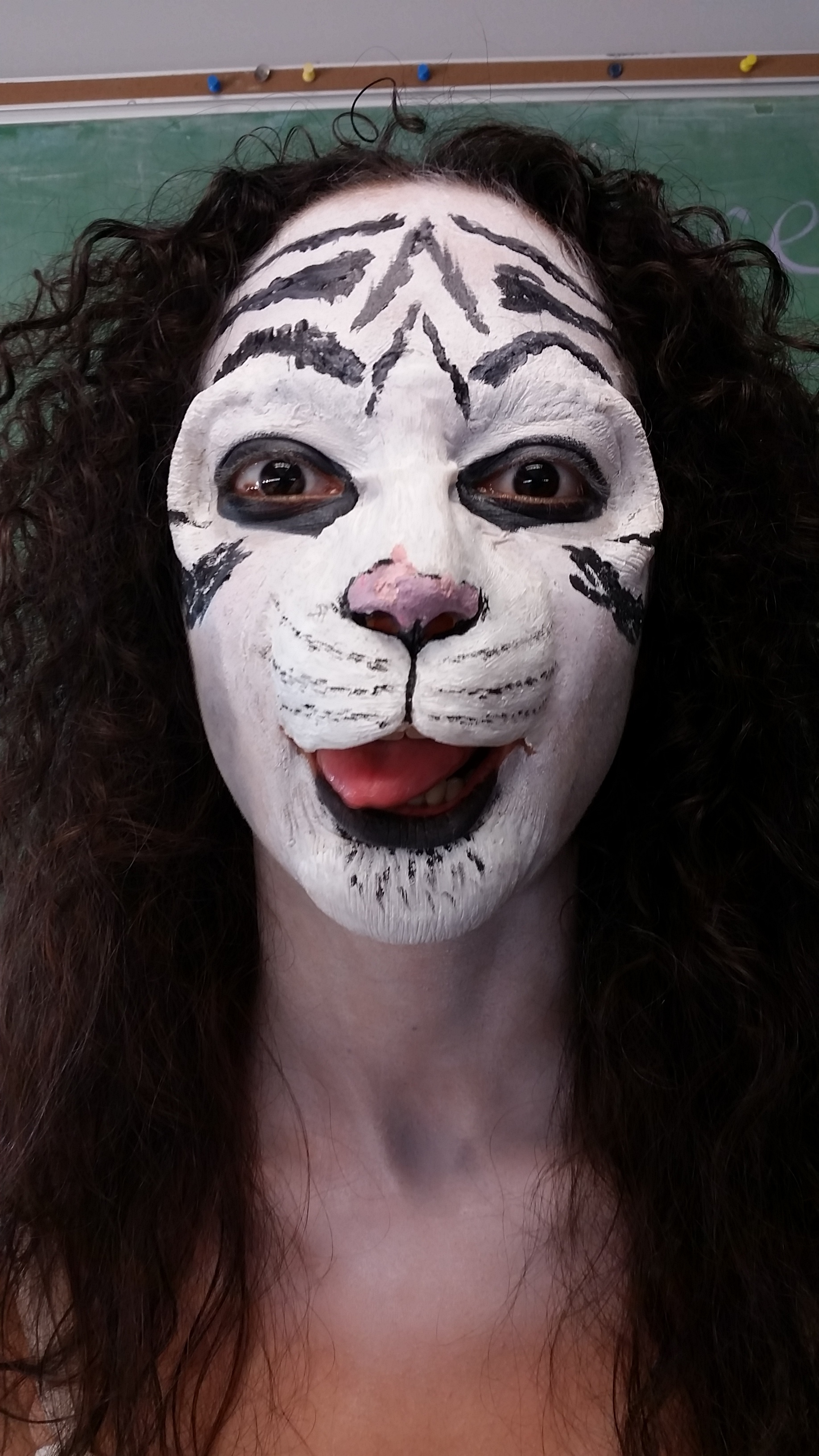 Animal Stage Makeup Designs | Saubhaya Makeup