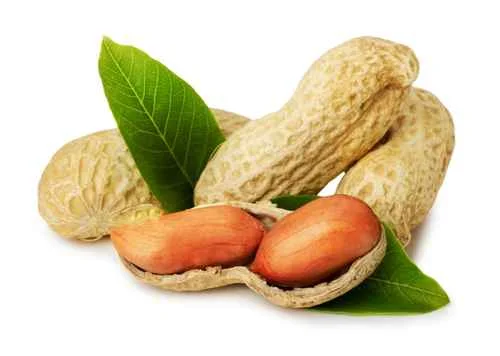 Cacahuates — Bien Comer