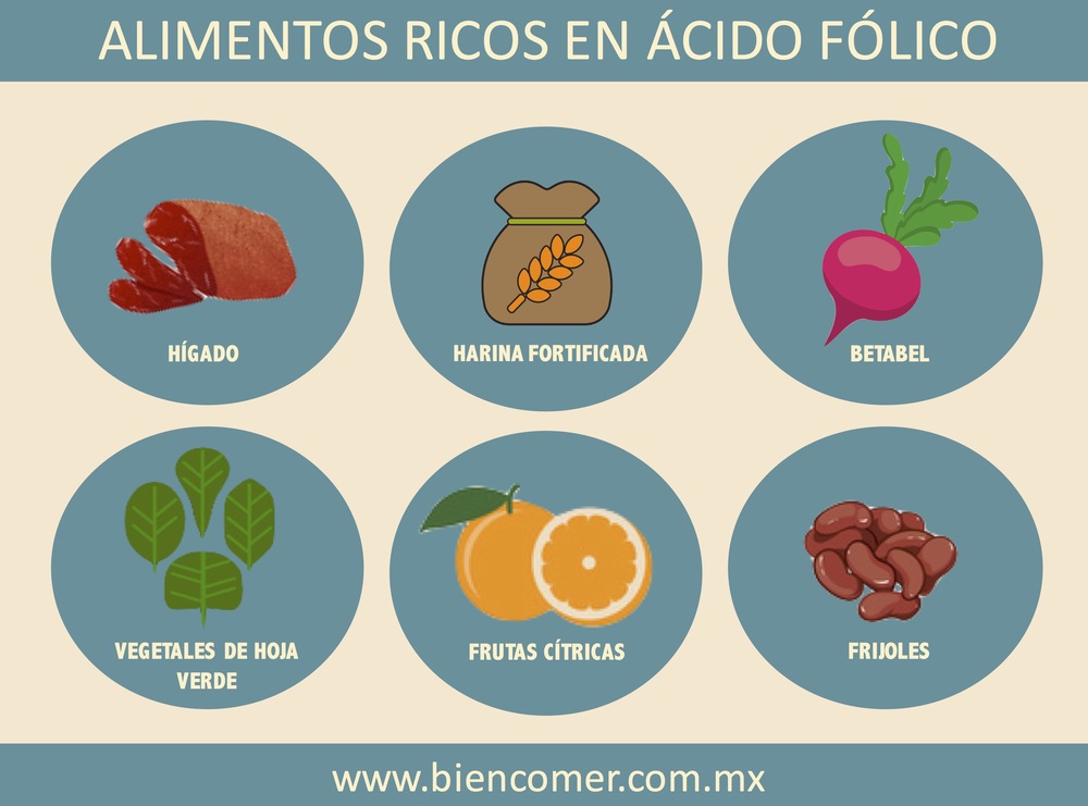B9 O Ácido Fólico — Bien Comer