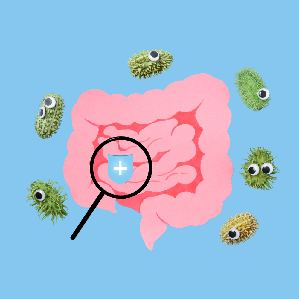 Qué son los posbióticos — Bien Comer®