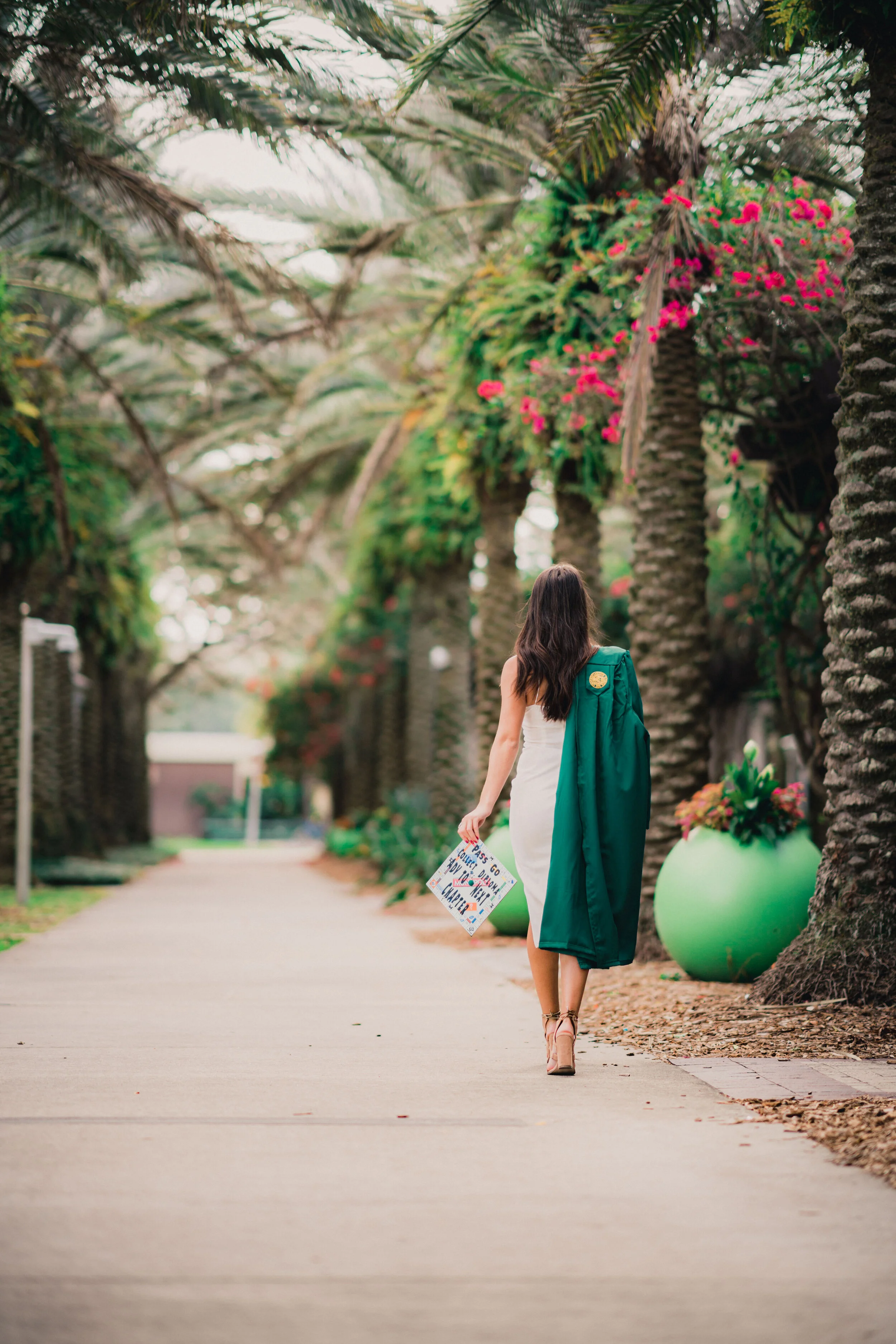USF Grad Photos - David Zhou Photography